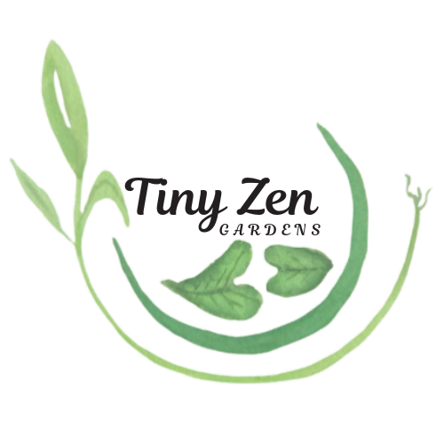 Create Your Own Terrarium A Step By Step Guide Tiny Zen Gardens